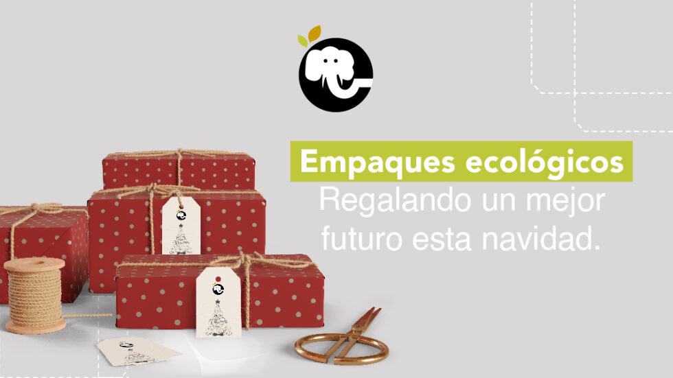 Empaques ecológicos: Regalando un mejor futuro esta navidad - Hervalle SAS